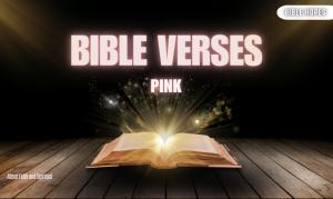 NIV Vs CSB Bible | Accuracy & Readability [2025 Guide]